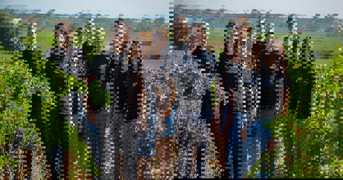 Pares Balta - Innnes