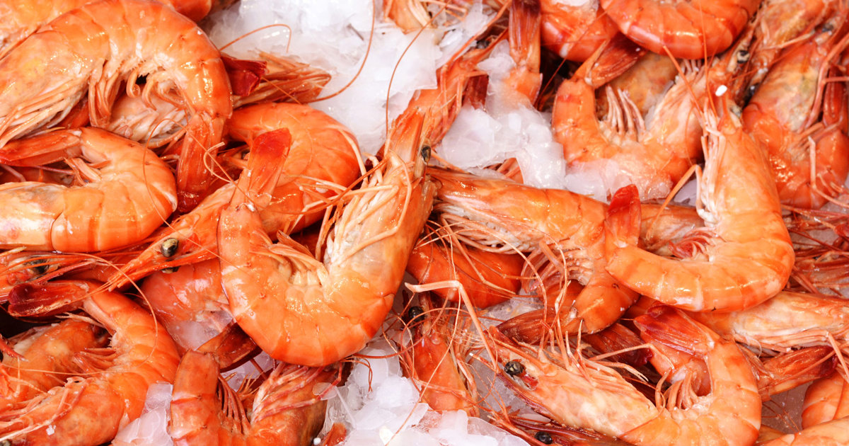 Nordic Seafood - Innnes heildverslun
