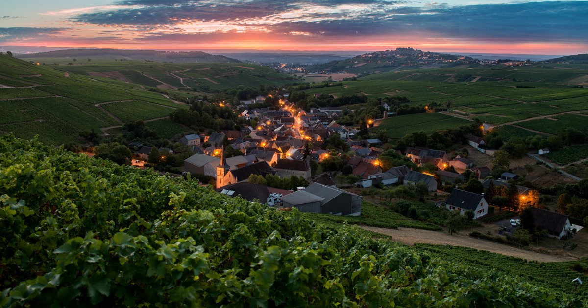 Henri Bourgeois - Innnes heildverslun