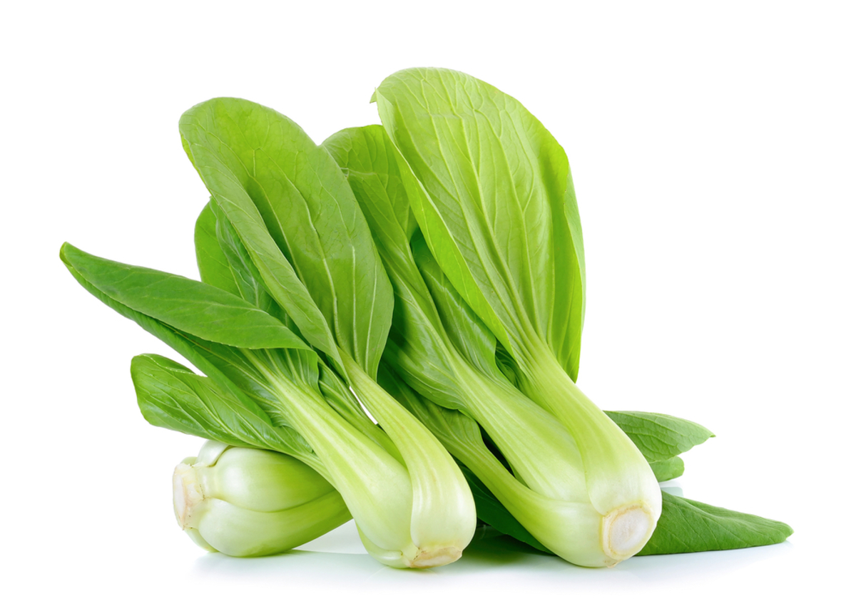 Bok Choy - Innnes heildverslun